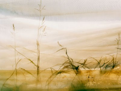 indigoalison: Judith Katz